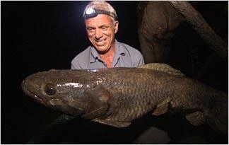 Wolf Fish | River Monsters Wiki | Fandom
