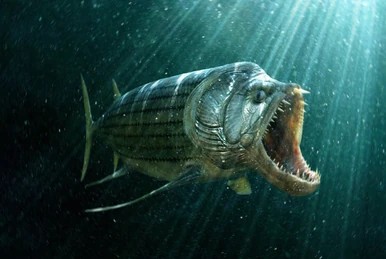 River Monsters Wolf Fish Teeth