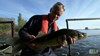 Zander | River Monsters Wiki | Fandom