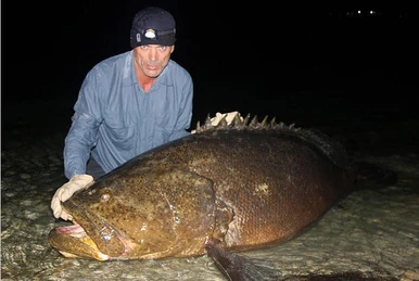 River Monsters Chernobyl On The Hunt For Mutated Chernobyl Monsters