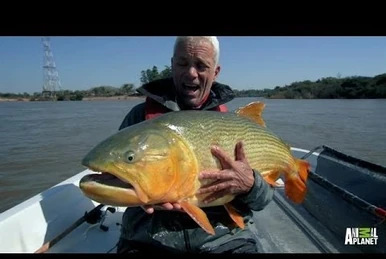 River Monsters Demon Fish