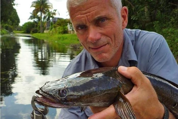 Bullseye Snakehead | River Monsters Wiki | Fandom