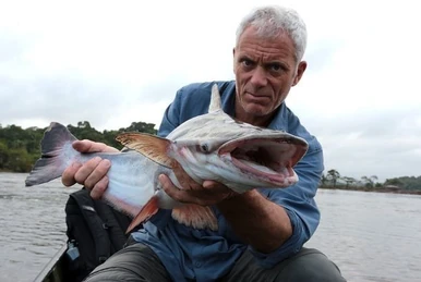 Vundu Catfish River Monsters Wiki