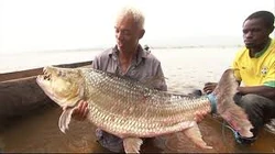 Devil Fish River Monsters