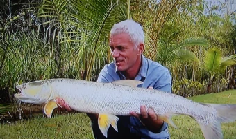 Vundu Catfish River Monsters Wiki