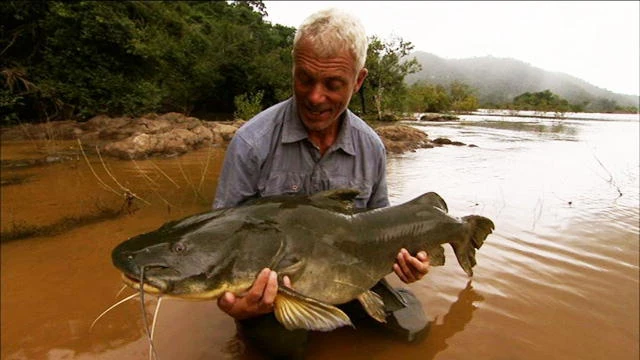 Jau | River Monsters Wiki | Fandom