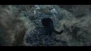 Salem | Archieverse Wiki | Fandom