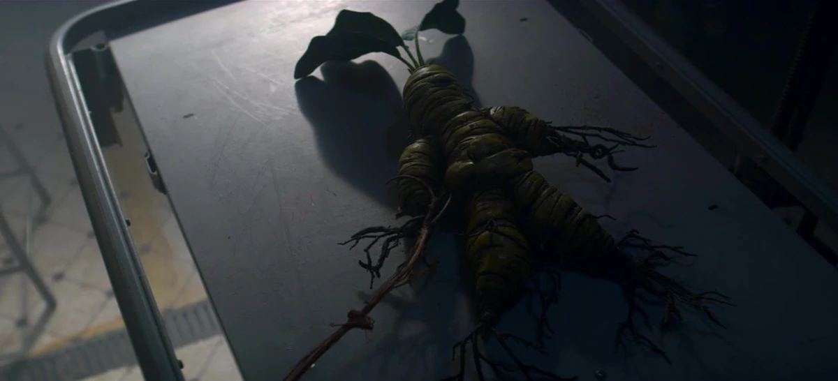 Mandrake | Archieverse Wiki | Fandom