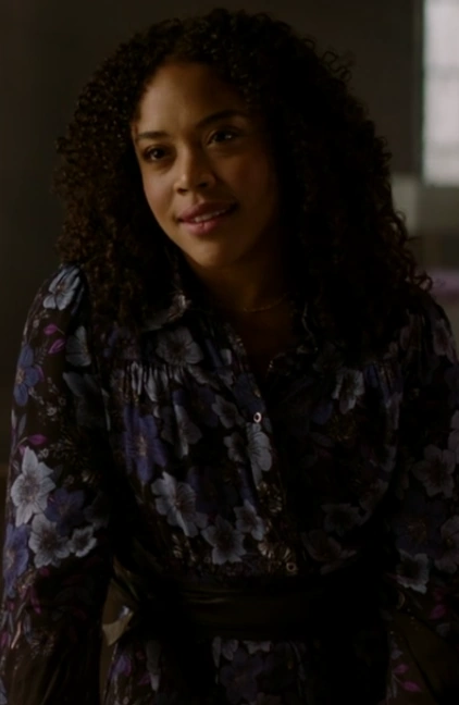 Didi | Archieverse Wiki | Fandom