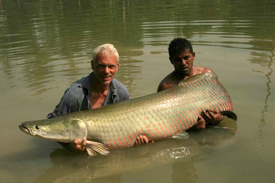 Tarpon Fish River Monsters