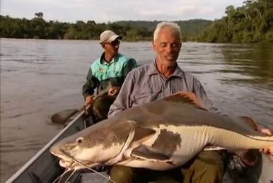 Nile Perch River Monsters