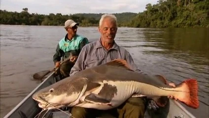Man Eating Catfish River Monsters