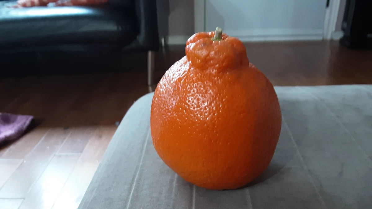 Category:Disambiguations | Rizzler Lore Wiki | Fandom