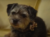 Daisy/Gallery | Wonder Wiki | Fandom