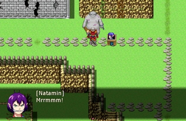 Elf Search | Rakenzarn Tales Wiki | Fandom