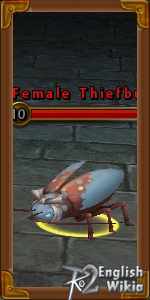 Female Thiefbug | RO2 Wiki | Fandom