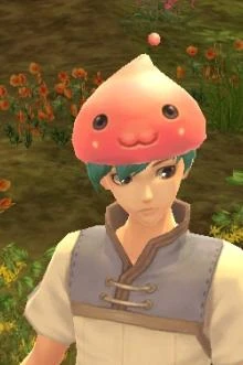 Poring Hat | RO2 Wiki | Fandom