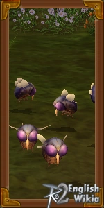 Chonchon Bebe | RO2 Wiki | Fandom