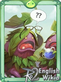 Andanora Card | RO2 Wiki | Fandom