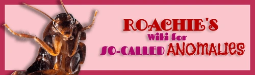 Boink!: The Digital Pet | Roachie's Wiki for So-Called Anomalies | Fandom