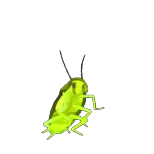 The Holy Roachic Timeline | Roachism Wiki | Fandom