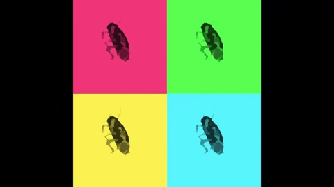 Pop Art Roach | Roachism Wiki | Fandom