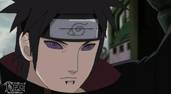 Nikko Hyūga | Wiki Road To Ninja NarutoFiction | Fandom