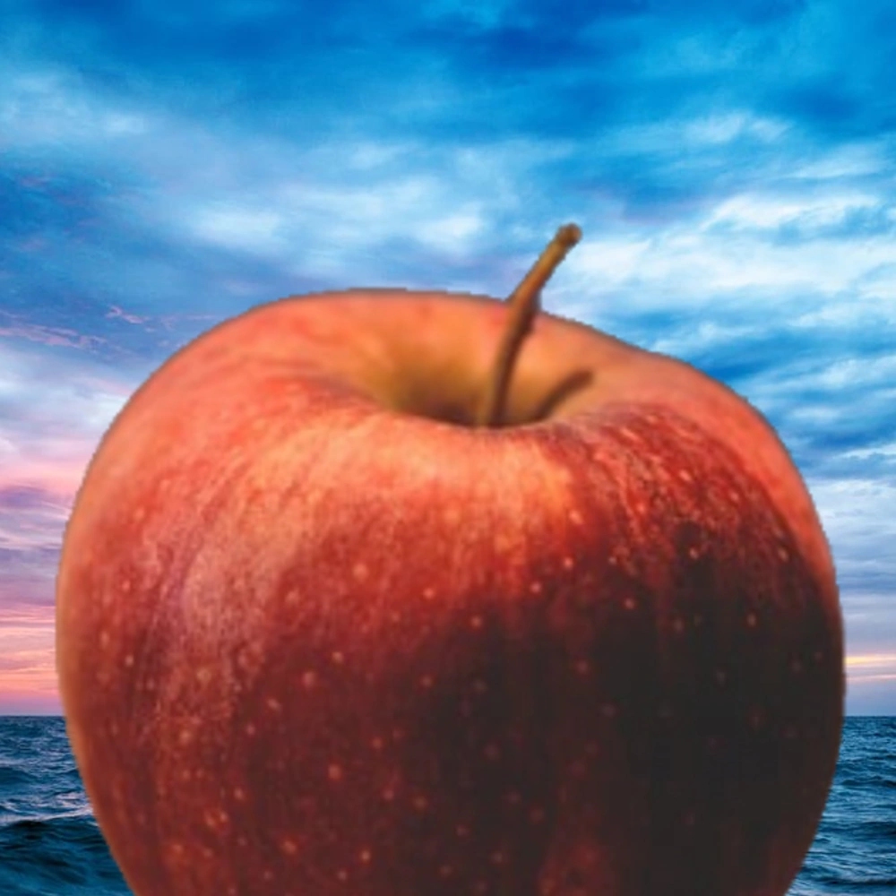 Jonathan | Roadkill Badger Productions Wiki | Fandom