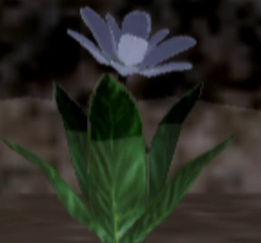 Papu Flower | Choro Q Wiki | Fandom