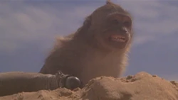 Max's Monkey | The Mad Max Wiki | Fandom