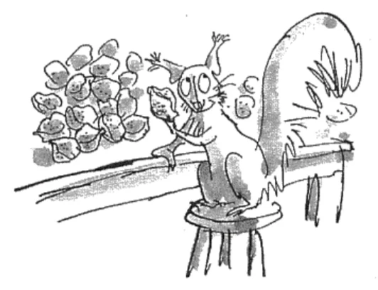 Squirrels | Roald Dahl Wiki | Fandom