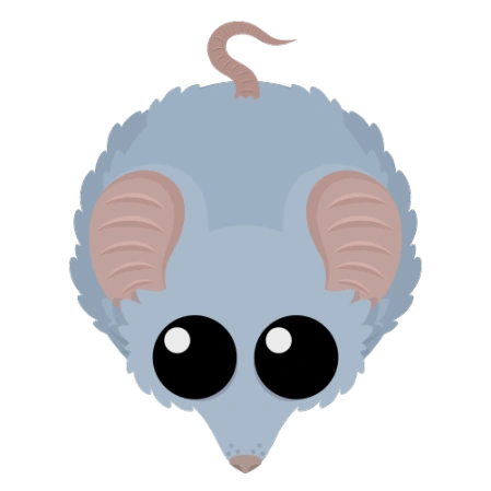 Mouse | Roams.io Wiki | Fandom