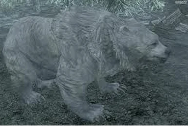 Robbaz Viking Space Program