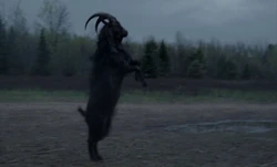 Black Phillip | Robert Eggers Wiki | Fandom