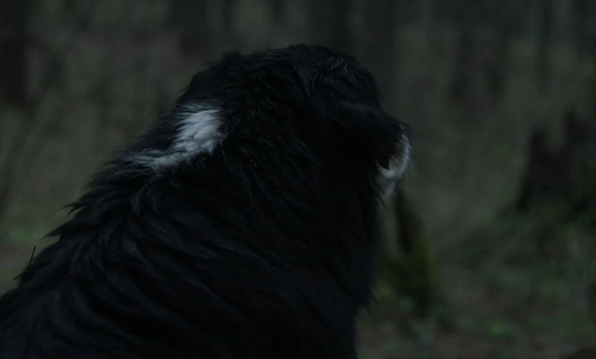 Fowler | Robert Eggers Wiki | Fandom