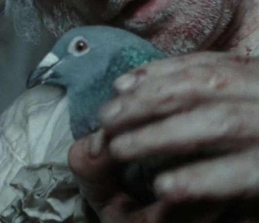 Category:Species | Robert Eggers Wiki | Fandom