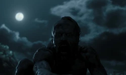 Nosferatu | Robert Eggers Wiki | Fandom