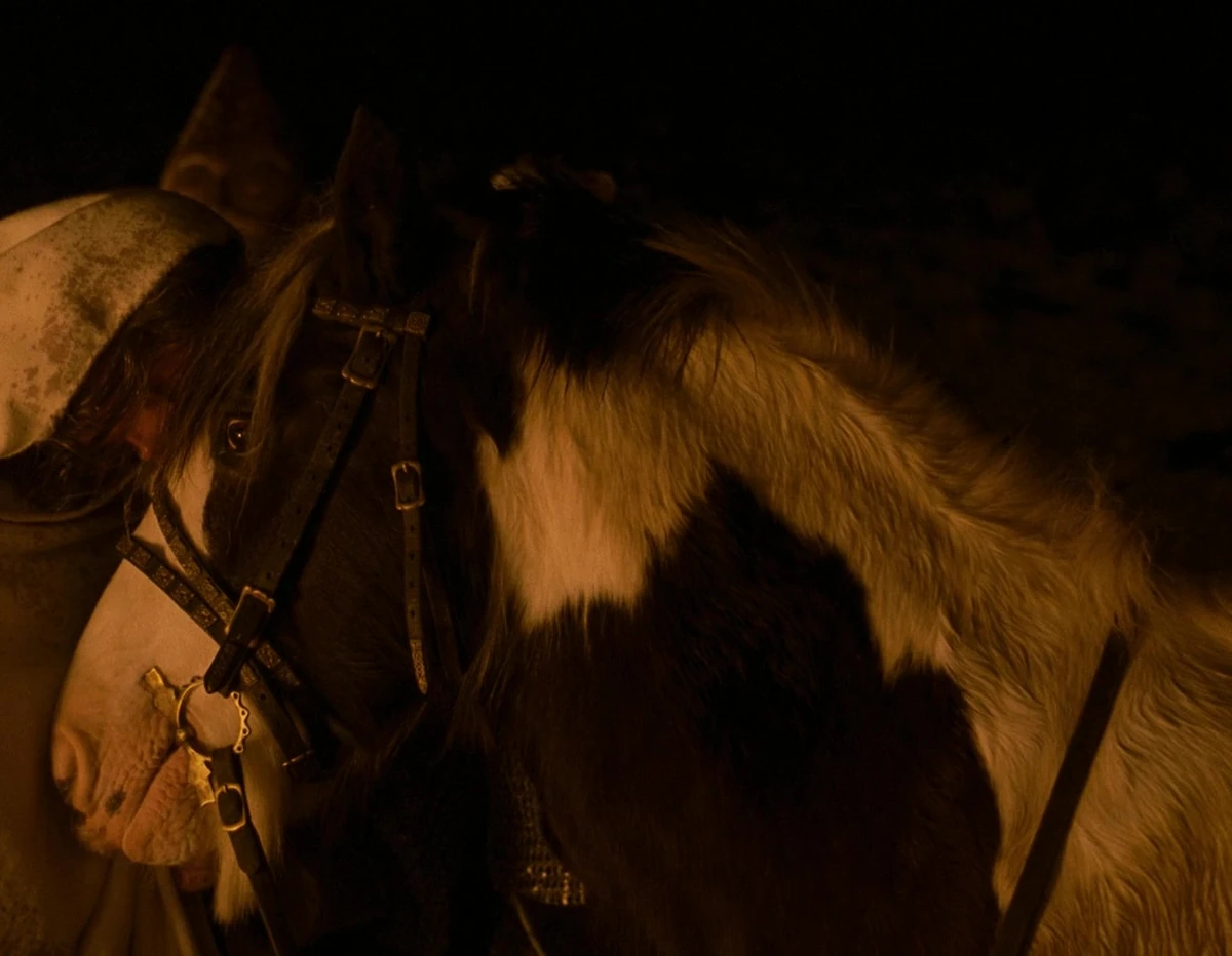 Freyfaxi | Robert Eggers Wiki | Fandom