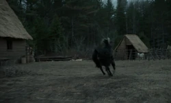 Black Phillip | Robert Eggers Wiki | Fandom