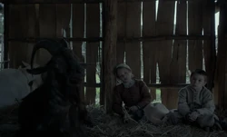 Black Phillip | Robert Eggers Wiki | Fandom