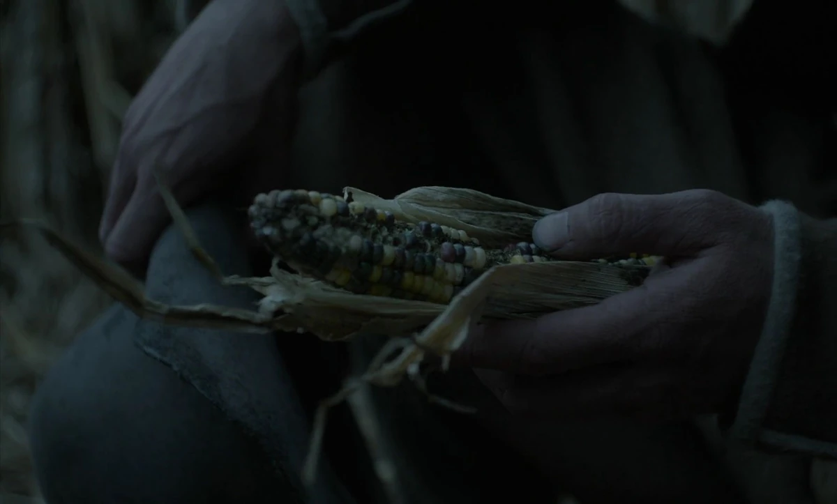 Ergot | Robert Eggers Wiki | Fandom
