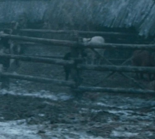 Goats | Robert Eggers Wiki | Fandom