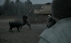 Black Phillip | Robert Eggers Wiki | Fandom
