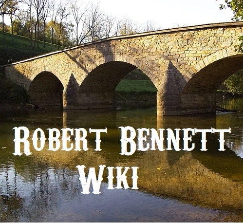 New York City | Robert-Bennett-Wiki | Fandom