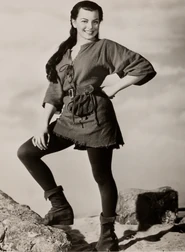 The Story of Robin Hood and His Merrie Men | Robin Hood Wiki | Fandom