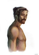 FitzChivalry Farseer | Robin Hobb's Realm of the Elderlings Wiki | Fandom