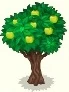 Apple Tree | Robinson Wiki | Fandom