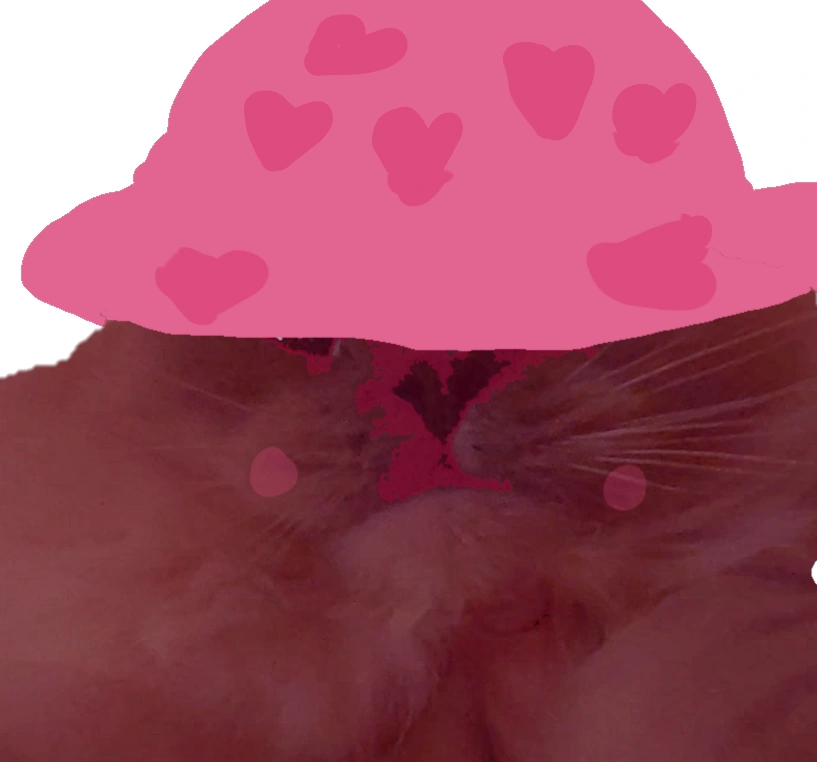 MXLLOLL (channel) | Roblox Account Wiki | Fandom