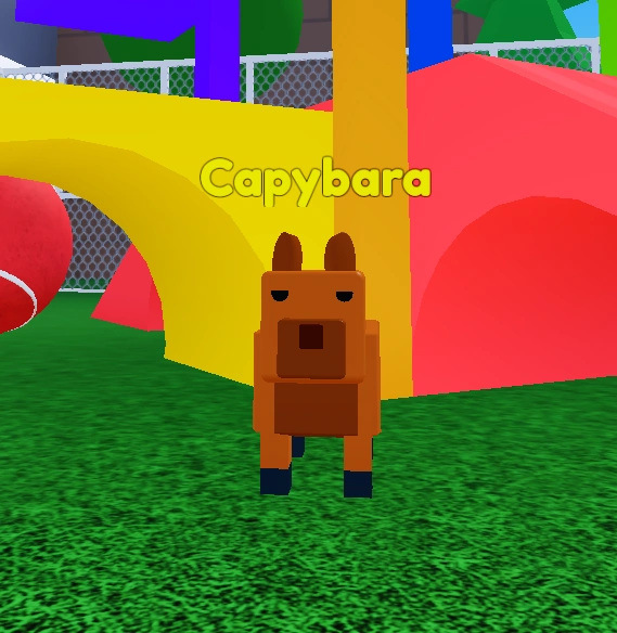 Capybara | Roblox Airplane Story Wiki | Fandom