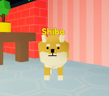 Shibo | Roblox Airplane Story Wiki | Fandom